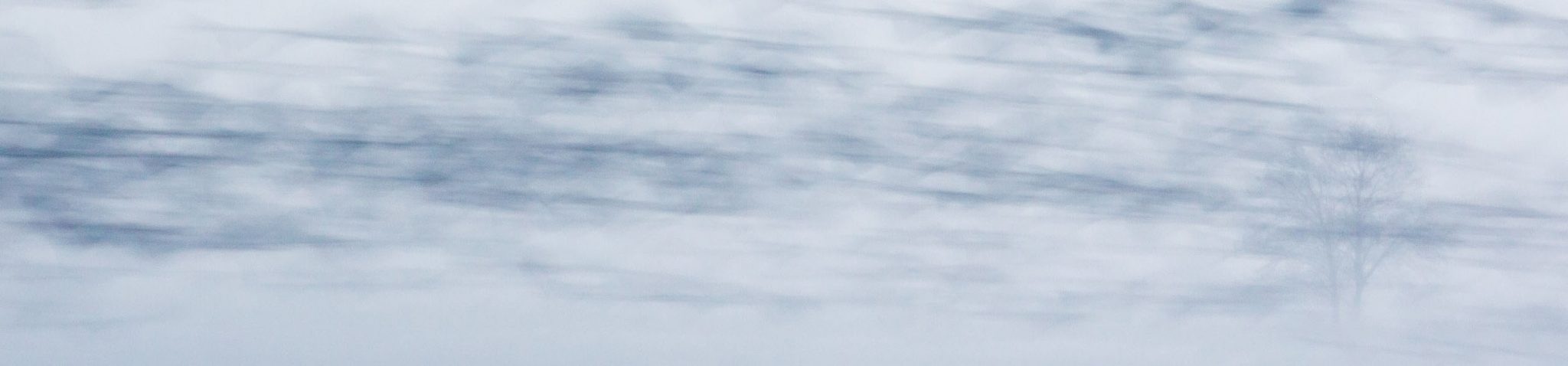 Ūdensputnu iepazīšanai sagatavots 20 sugu noteicējs jaunajiem putnu ...