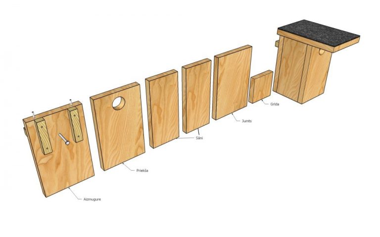 Mājas strazdam, svīrei - Latvijas Ornitoloģijas biedrība